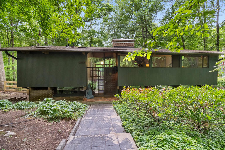 Cool listing: This Reston home feels like a tree house