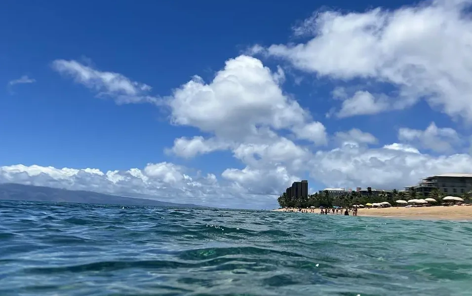 Maui kayakers fight off tiger shark in rare Olowalu attack