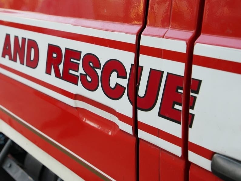 MI Human Rescues Frightened Cat Along Detroit Freeway