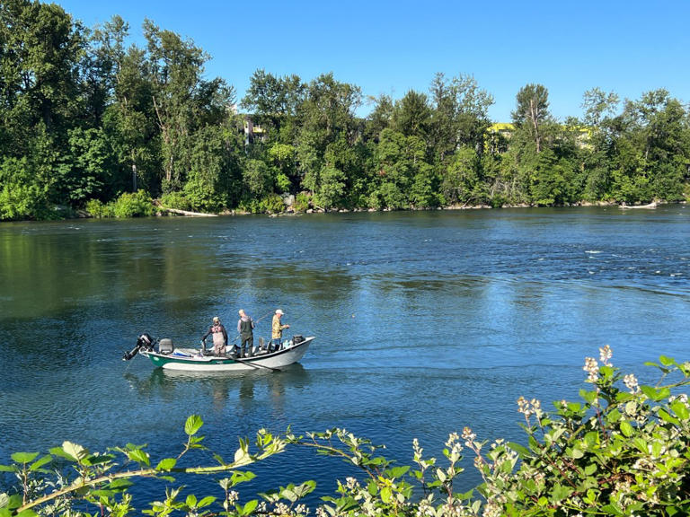 Animal cruelty ballot initiative criminalizing hunting and fishing ...