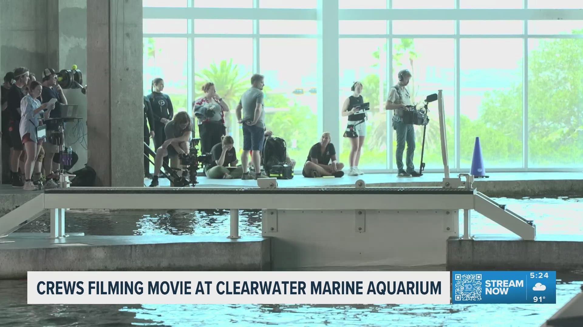 New Christmas movie is being filmed at Clearwater Marine Aquarium