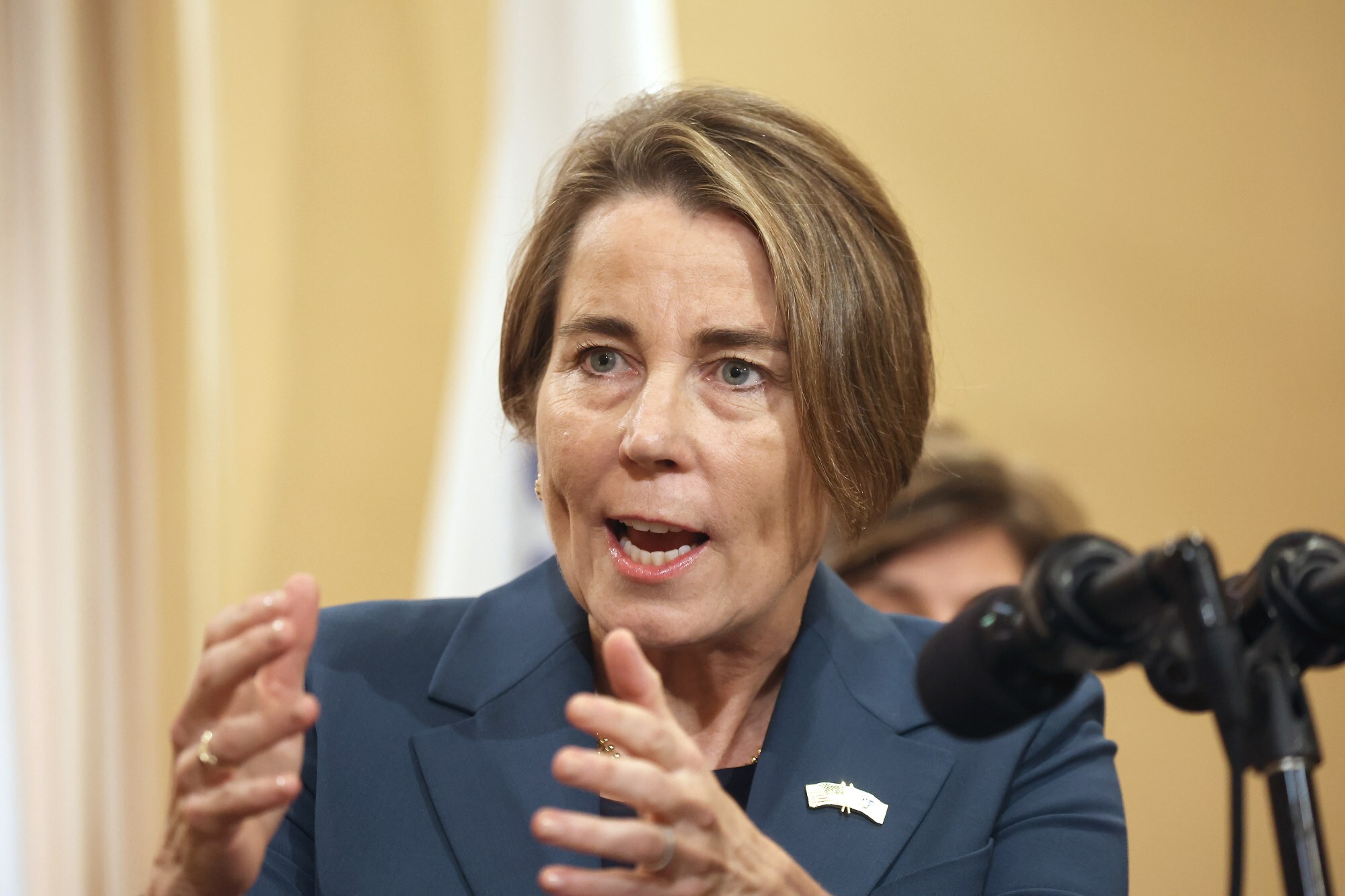 Healey denies DOJ demand to allow ICE to obtain undercover license plates
