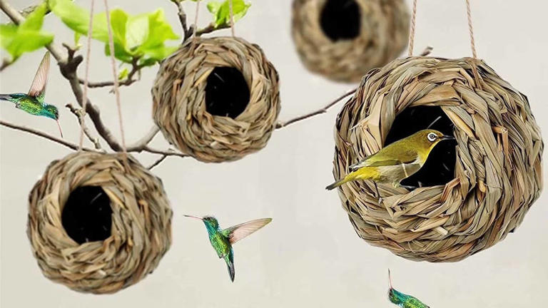 Walmart's cute $9 hummingbird nest adds so much woodland charm to any ...