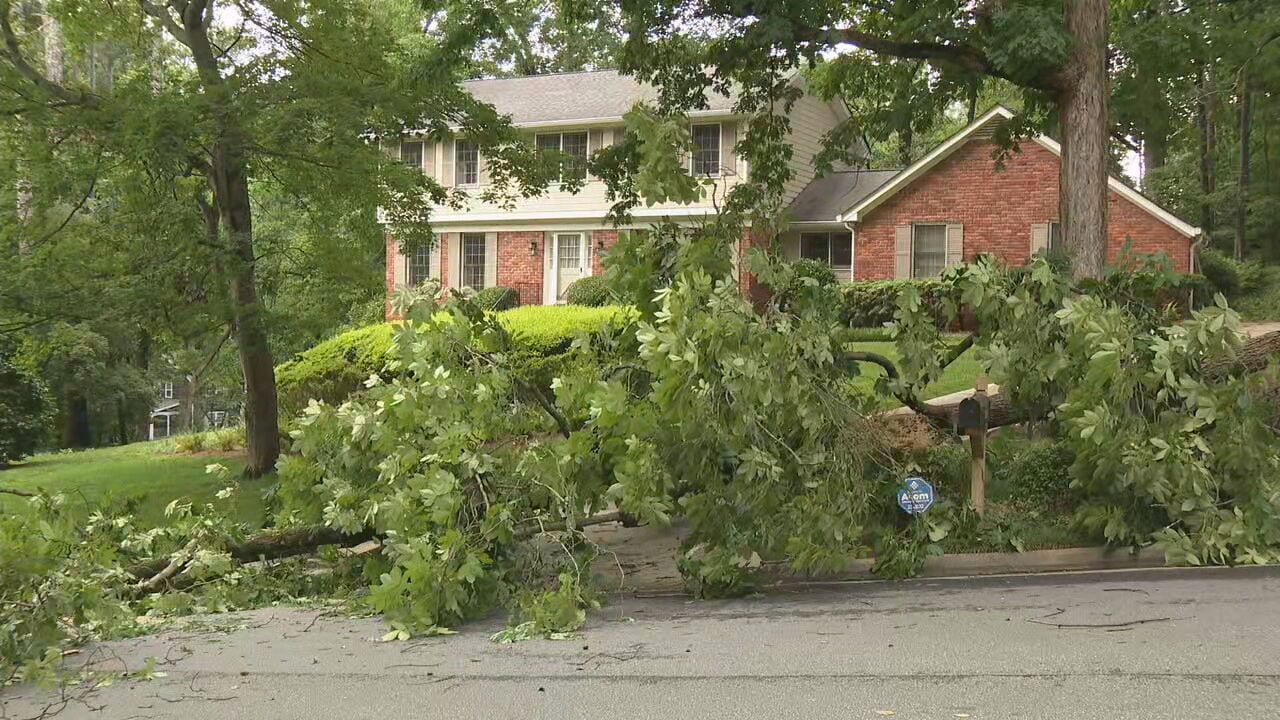 Lots of rain and overnight storms topple trees across metro Atlanta