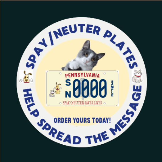 Local spay-neuter program begins license plate fundraiser