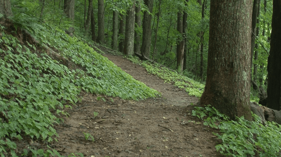 Elkins Area Shared Trails finishes first mixed-use trail at D&E