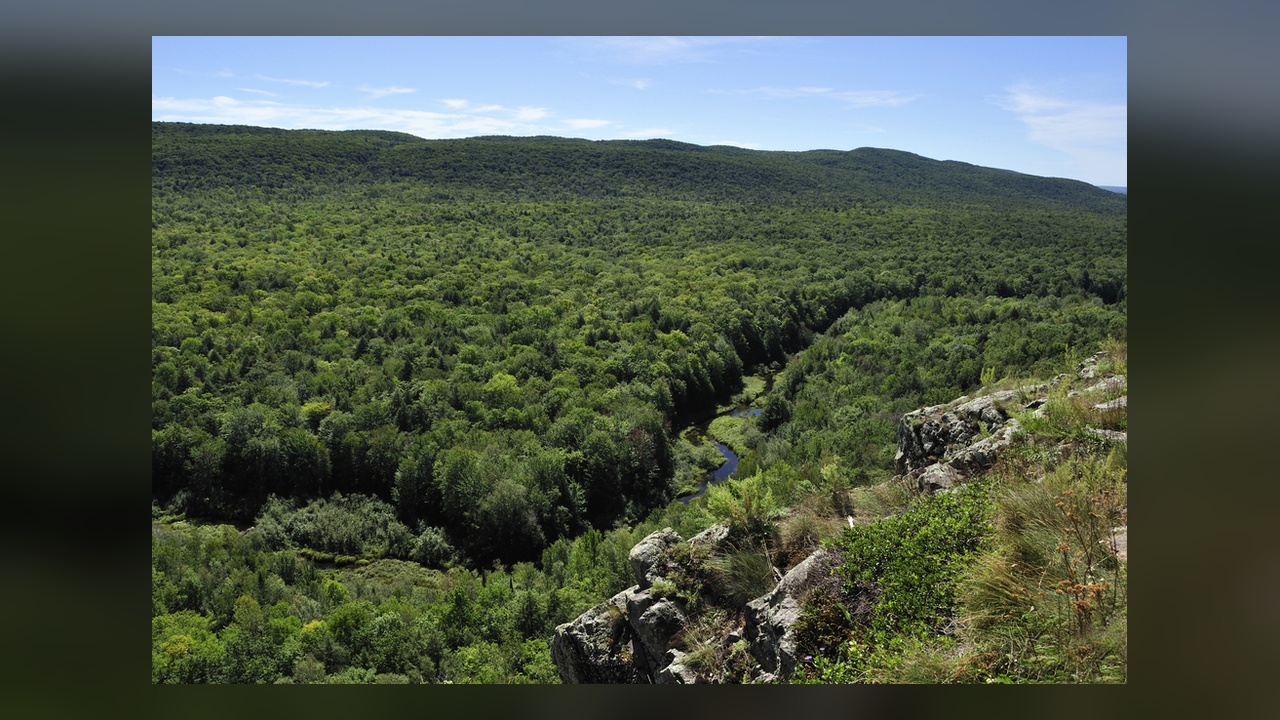 Old-growth forest, Lake Superior shoreline, and almost no crowds: meet ...
