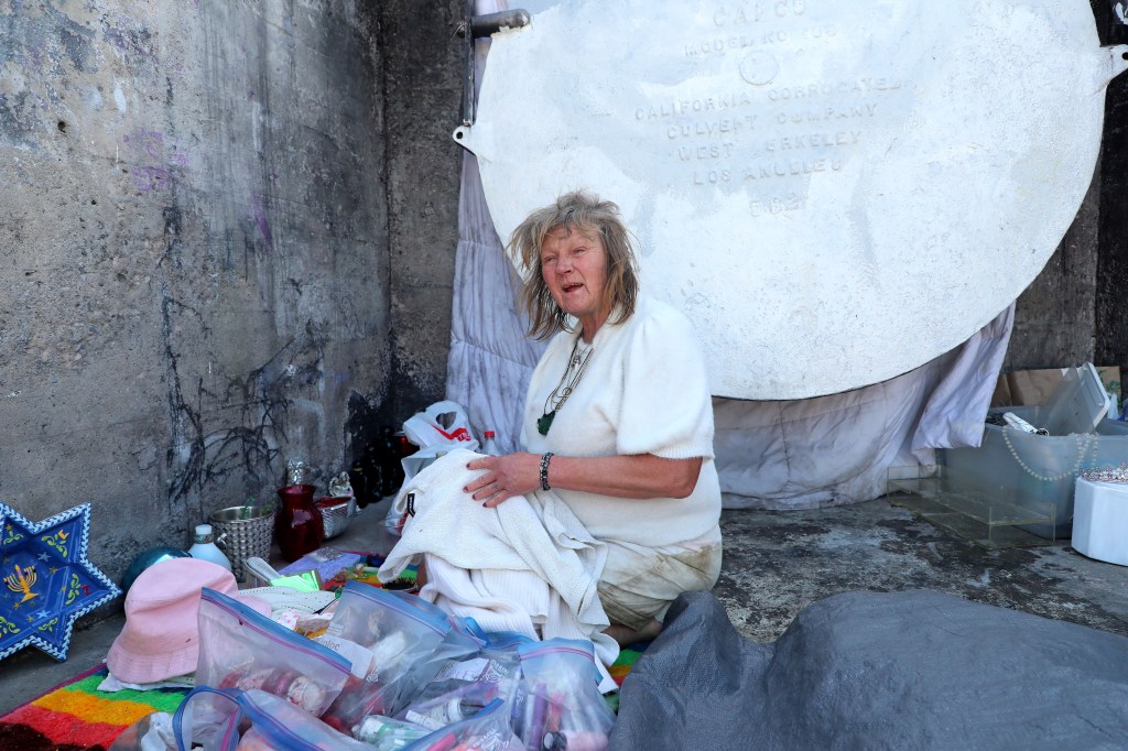 Nithya Raman abandons $4M for homeless encampment cleanup during run ...