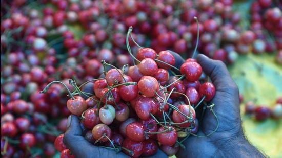43 tonnes of fresh Kashmir cherries dispatched across India
