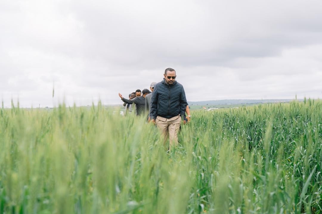 PM Abiy commends East Borana's agricultural progress, anticipates over ...