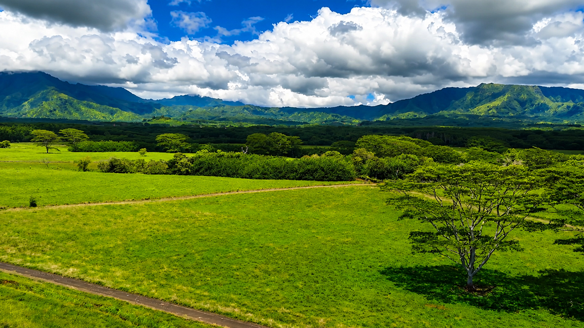 The calm before Hawaii’s sudden tropical storm