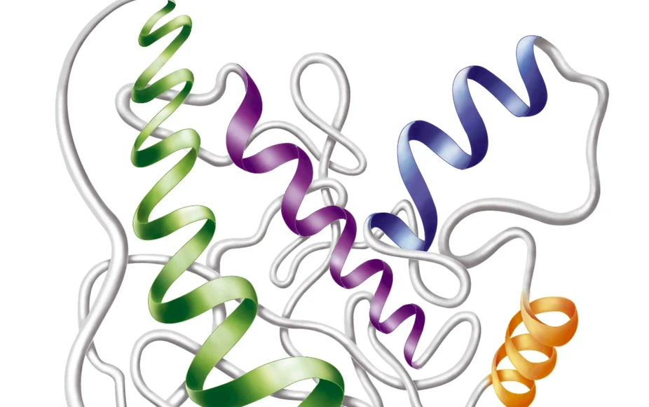 Scientists map SPD-5 activation and ancient protein networks