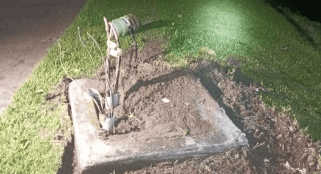 Elderly Wesley Chapel man dead after Tesla on autopilot plunges into ...