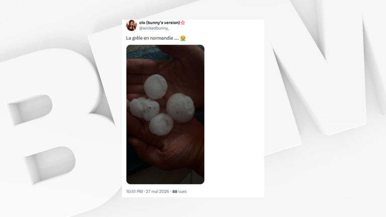Des grelons jusqu'à 5 centimètres : un violent orage de grêle a touché ...