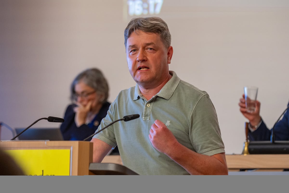 Jede Menge Lob für die Carolabrücken-Entwürfe