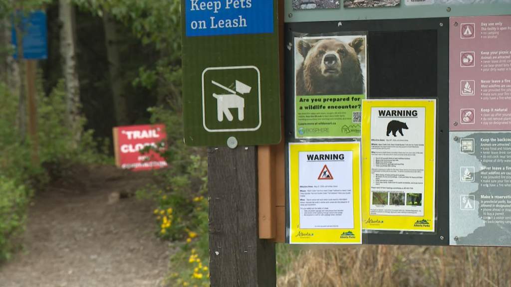 Be bear aware: Increase in sightings, encounters prompts warning to ...