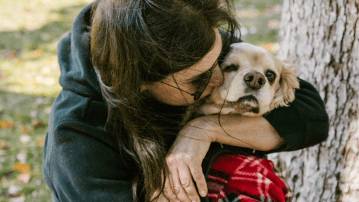 This is what goes through your dogs mind when you hug them