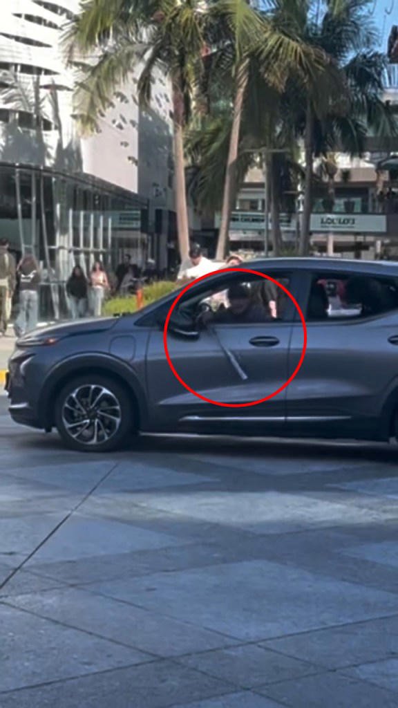 Bat-wielding driver with dog terrorizes shoppers in Santa Monica as ...
