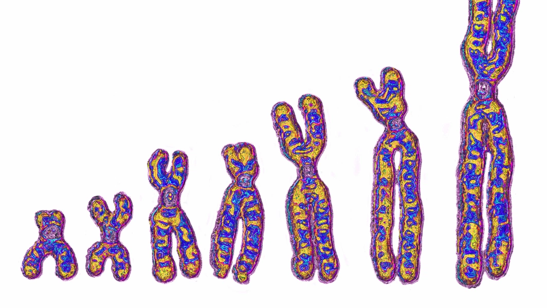 Scientists map SPD-5 activation and ancient protein networks