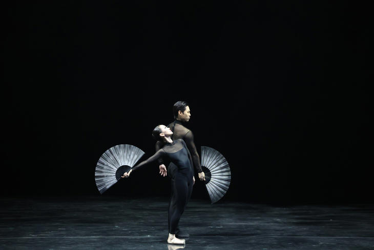 Ballet 'Gat' đến Việt Nam, biên đạo Hàn Quốc mong mũ gat nổi tiếng như ...