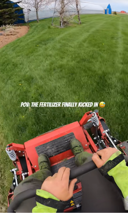 When fertilizer hits just right and the rain turns lawns into a green ...