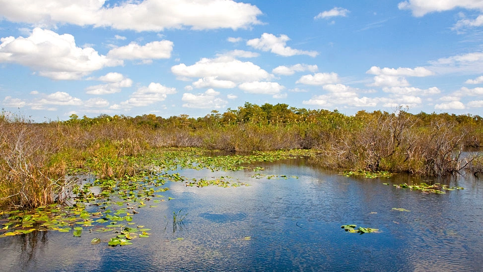 Exploring Florida’s wild side in its national parks
