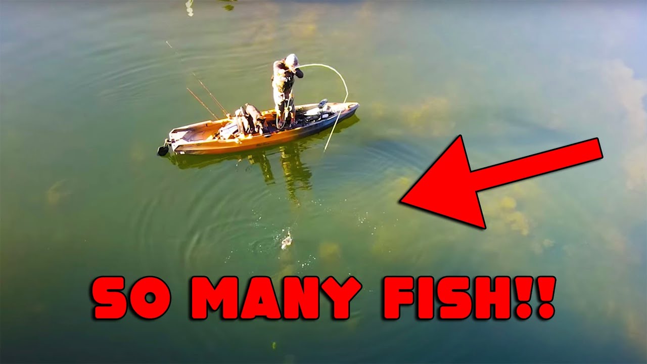 We were catching fish every cast! Trout fishing, catch, camp, & cook ...