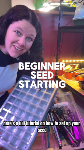 How to set up a seed germination tray