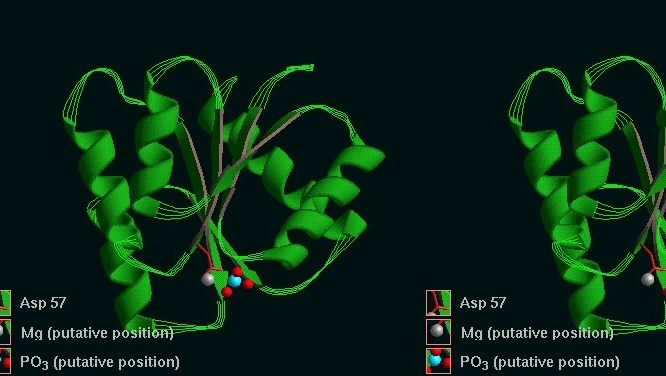UT Austin maps ancient protein network, finds hidden disease genes
