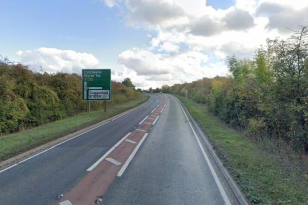 Experts say new A120 could restore and protect nature with wildlife ...
