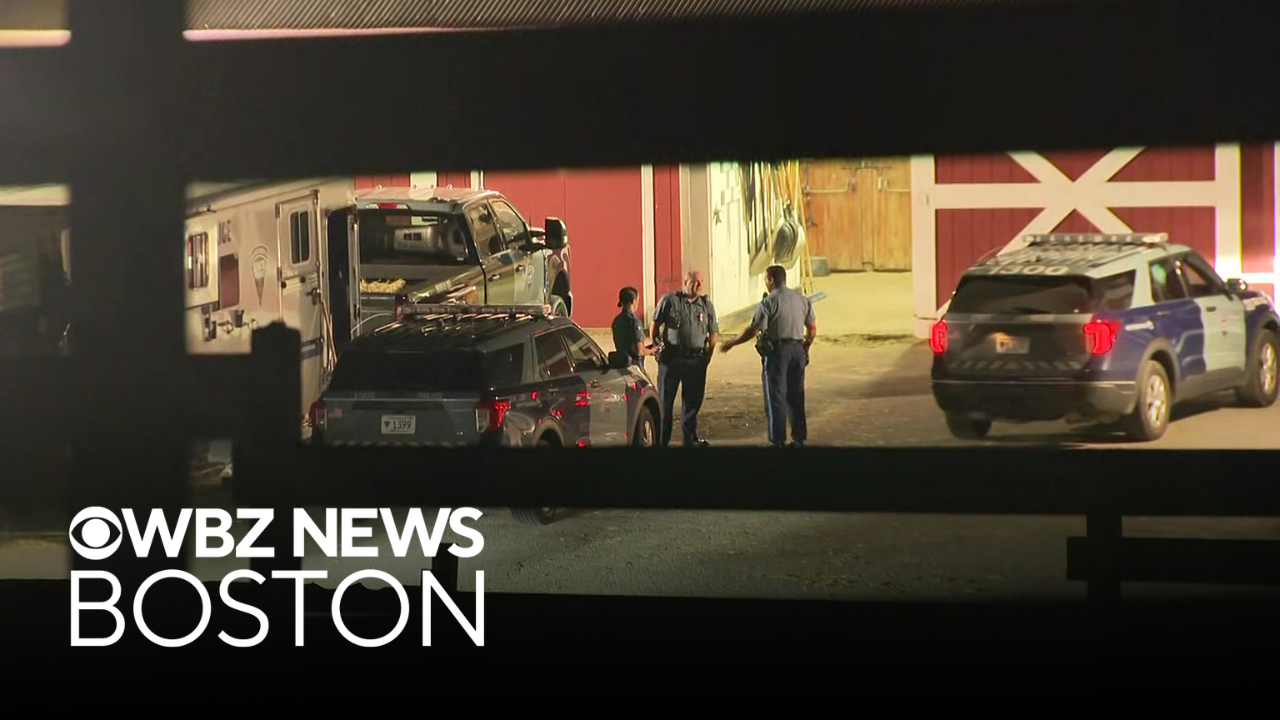 Massachusetts State Police trooper shot after accidental discharge
