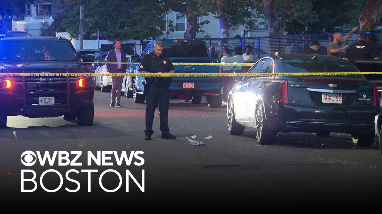 Two men stabbed at Brockton park