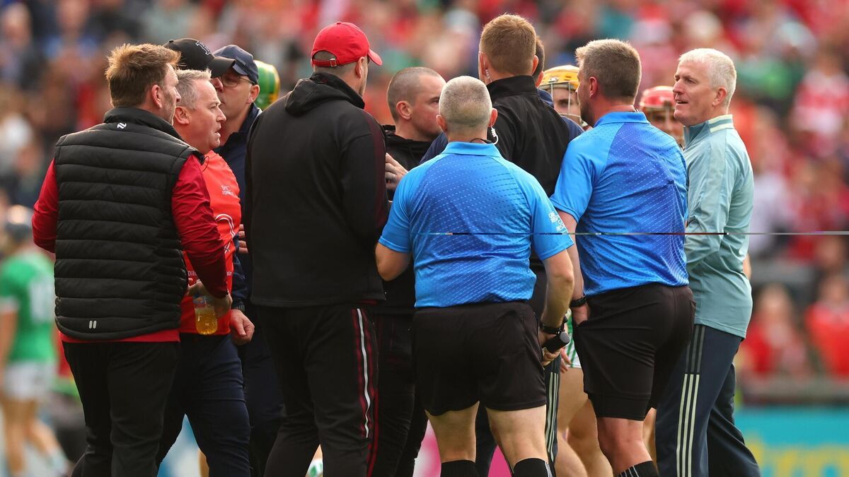 John Kiely: Limerick helping referees have the best day they can this year