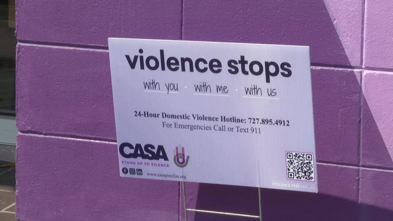 Florida strengthens domestic violence laws with new abuser tracking ...