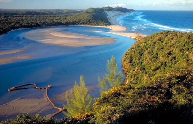 Why a deep forest escape is South Africa's best-kept winter travel secret