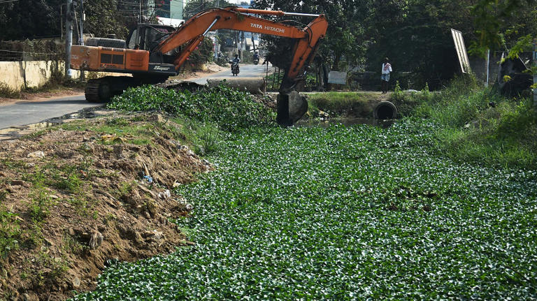 Andhra Pradesh to clear lakes, create jobs for women through SHGs
