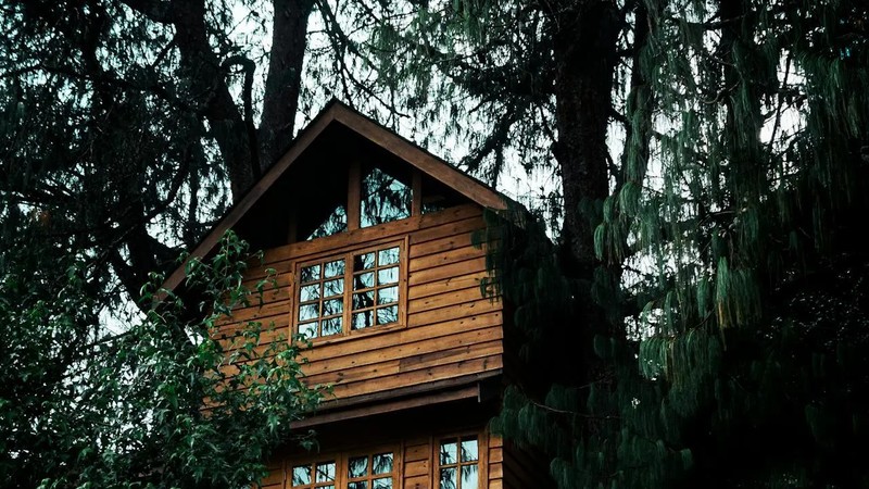 Why a deep forest escape is South Africa's best-kept winter travel secret