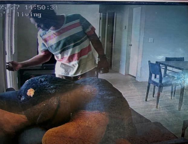 Missing: 69-year-old man reported missing out of Ogden