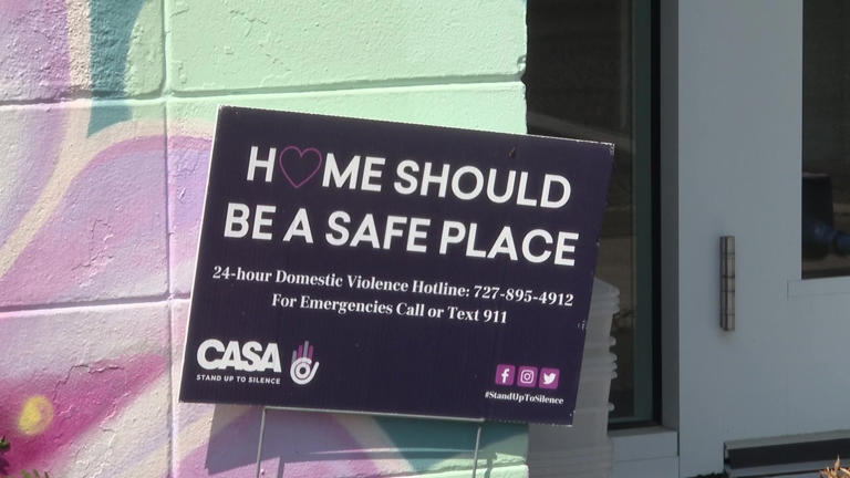 Florida strengthens domestic violence laws with new abuser tracking ...