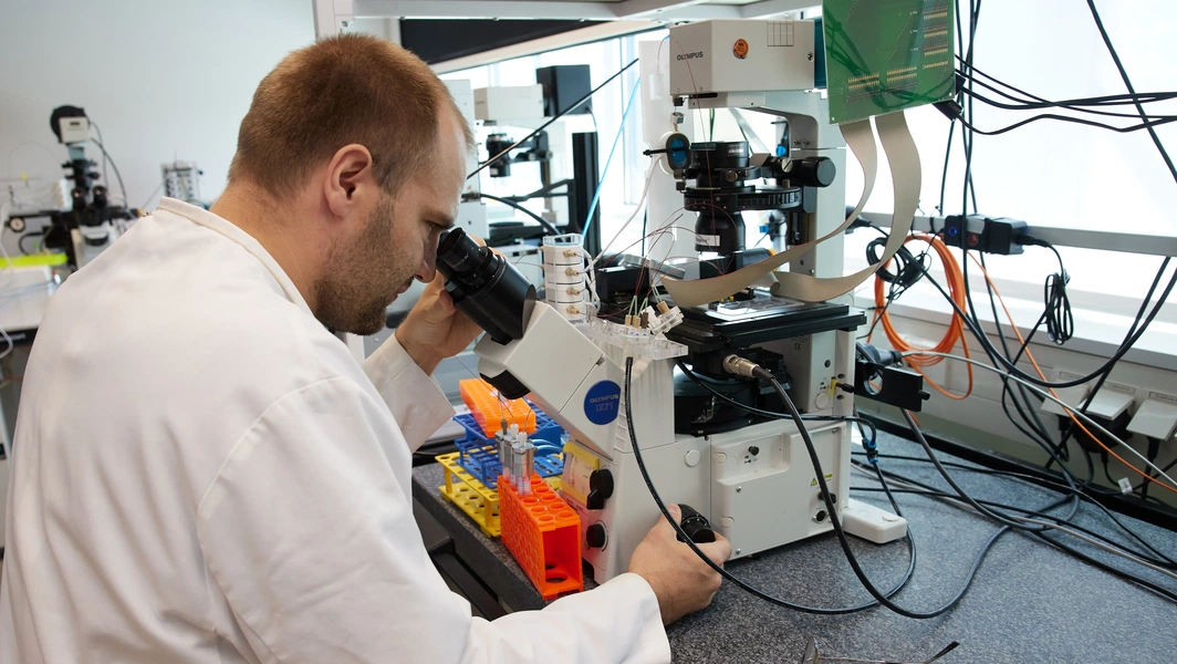 Caltech team maps sperm production cycle from single snapshot
