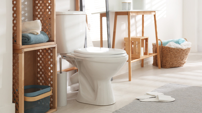 The real reason your toilet is gurgling