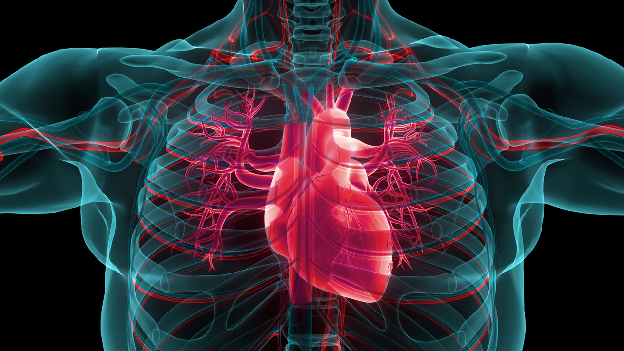 Why Indians in their 20s suddenly need calcium heart scans