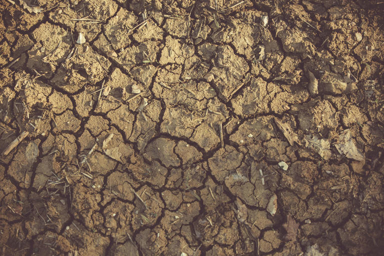 1,000 km wide El Nino build up: Massive wall of warm water seen in ...
