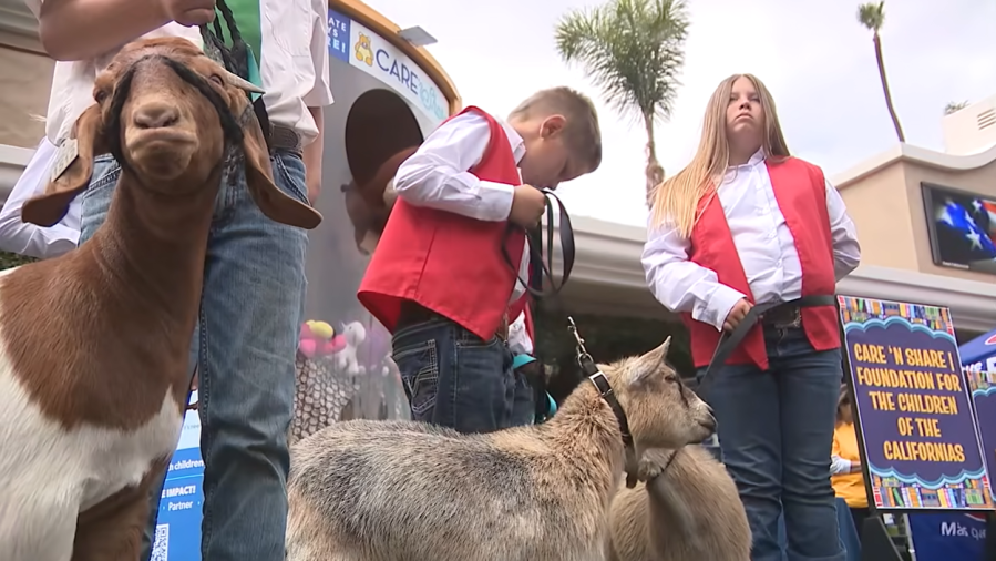 A sneak peak at the 2026 San Diego County Fair