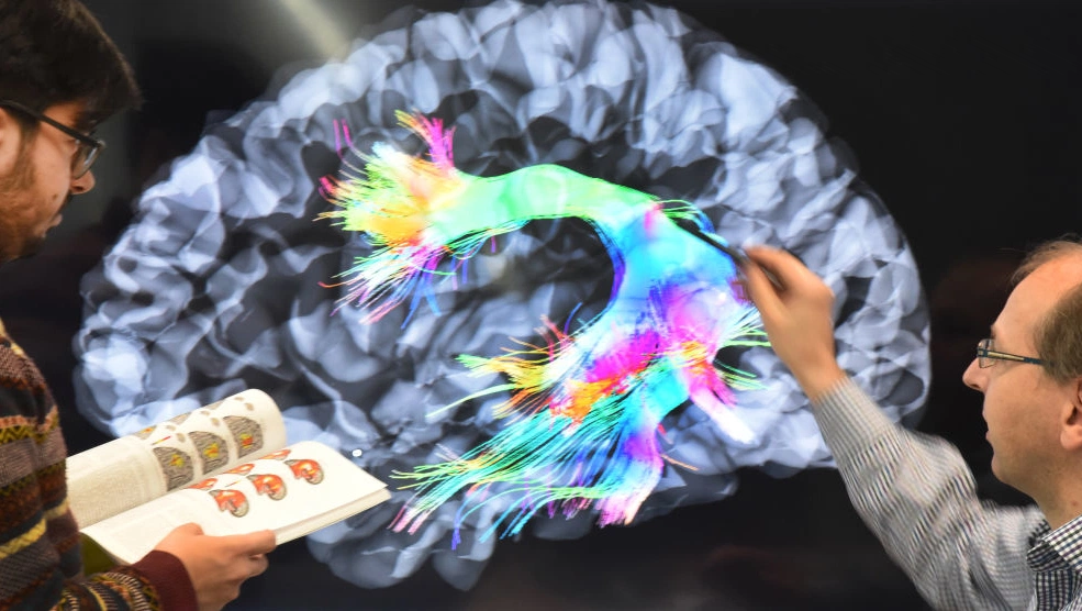 Why learning languages still matters in AI age