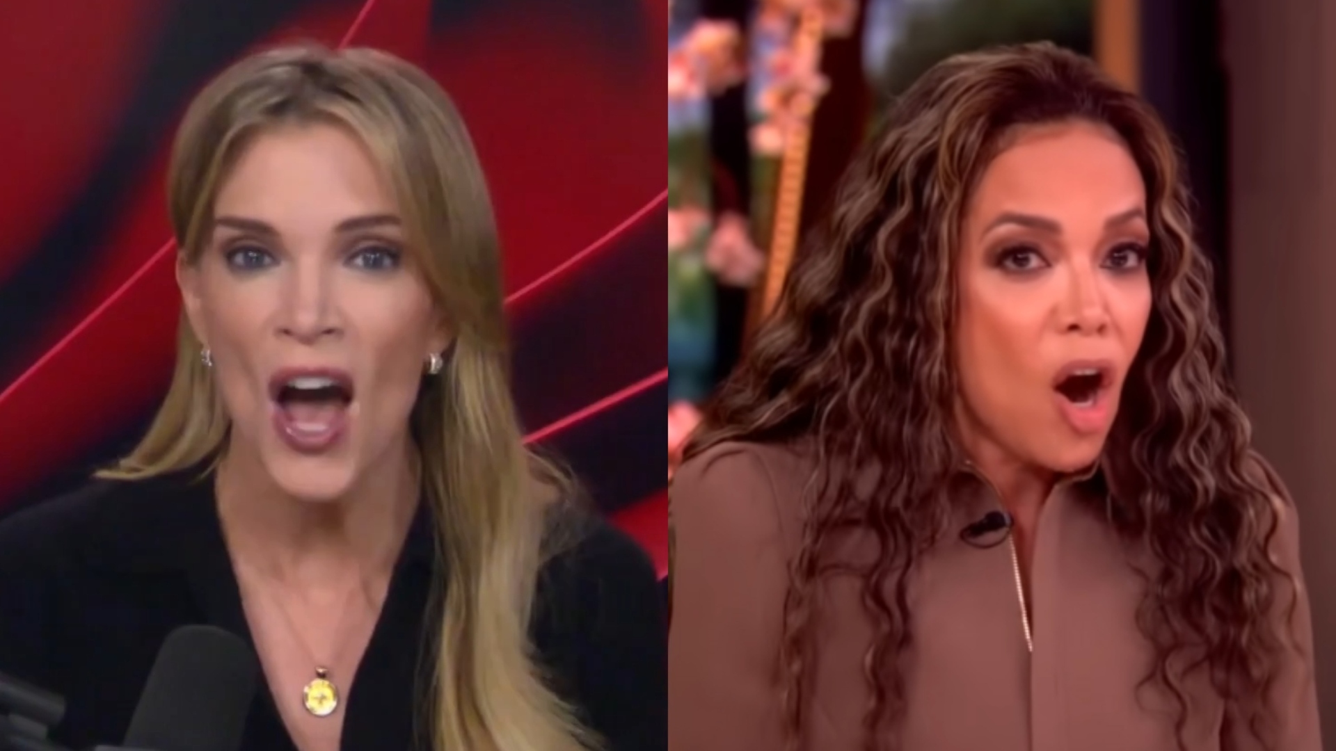 'What a lie': Megyn Kelly blows up at The View's Sunny Hostin over BLM ...