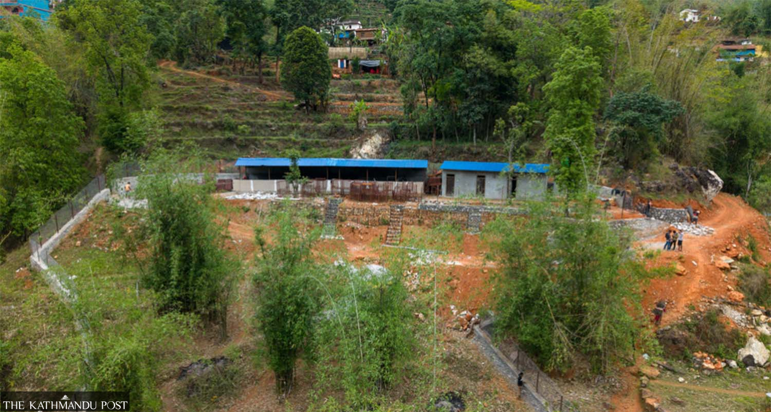 Can a 'dog hostel' solve Nepal's stray dog problem? Baglung is trying