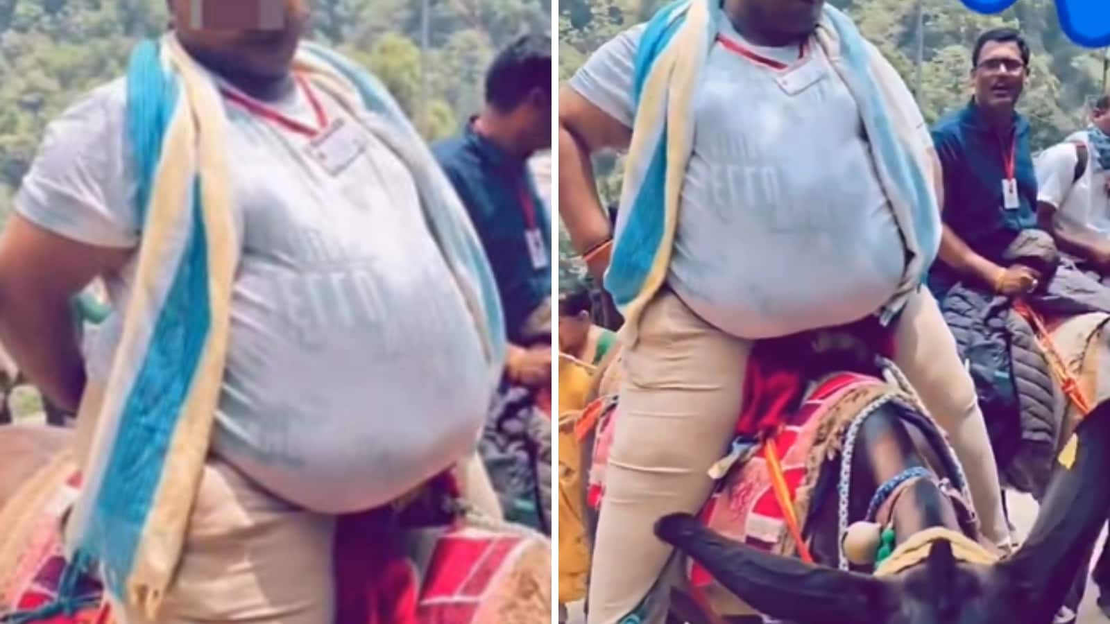 'Sickening and pathetic': Kedarnath clip showing mule carrying heavy ...