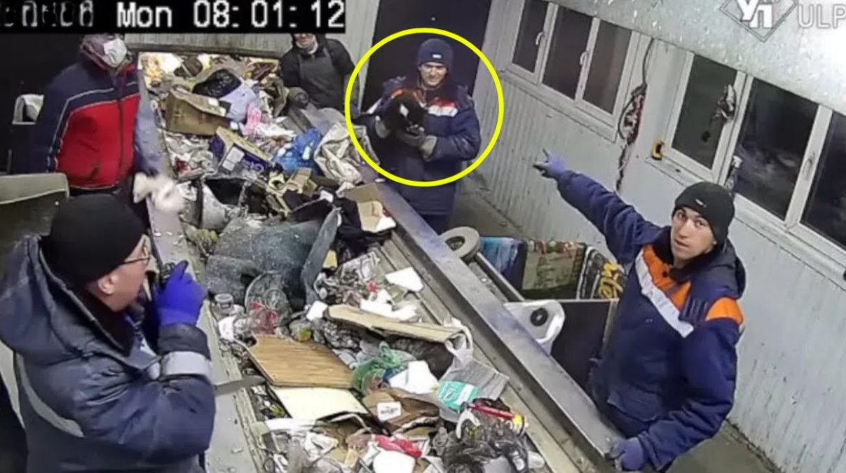 Worker finds something moving in a heap of trash just seconds before it ...