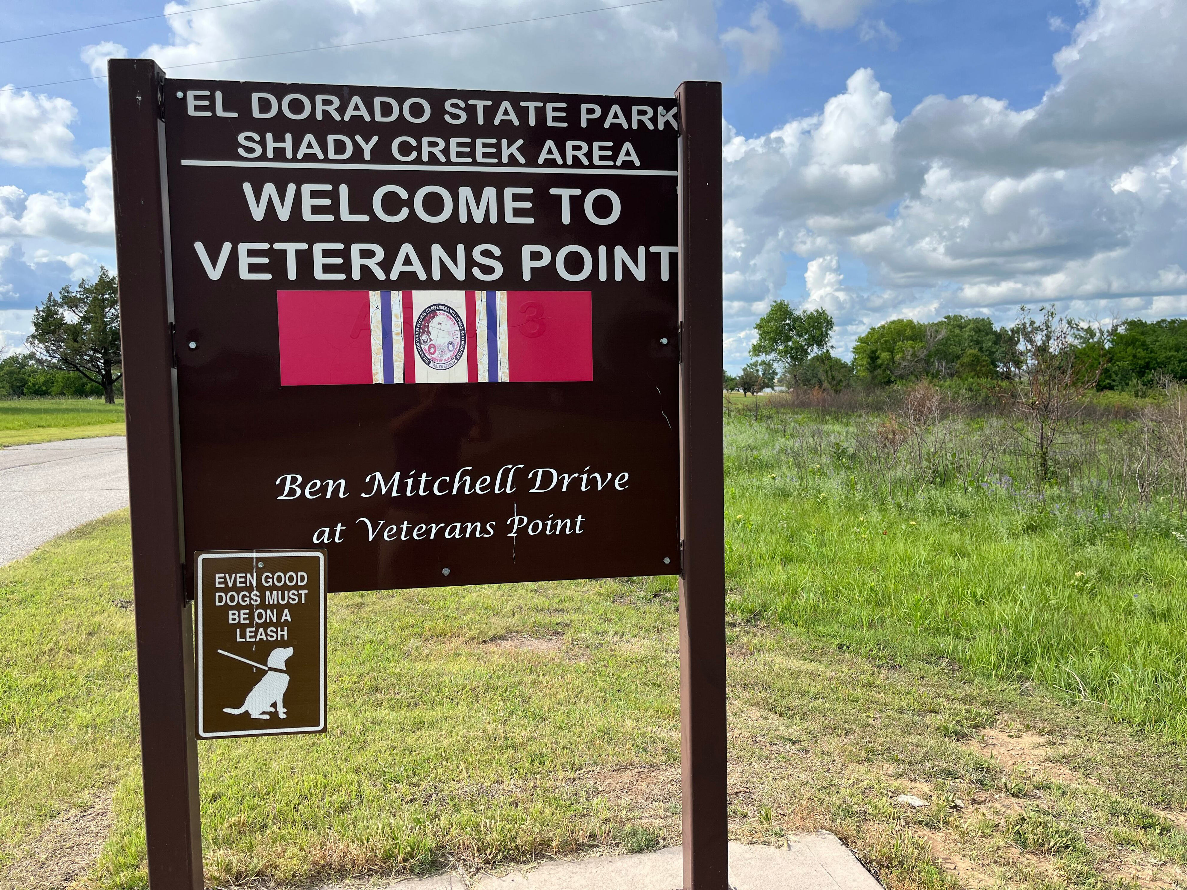 Copperhead snake bite in El Dorado sparks discussion